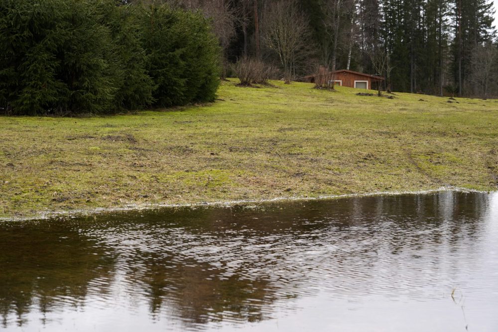 Iecavas upē nonācis neattīrīts ūdens no spirta rūpnīcas - Lat.press.lv