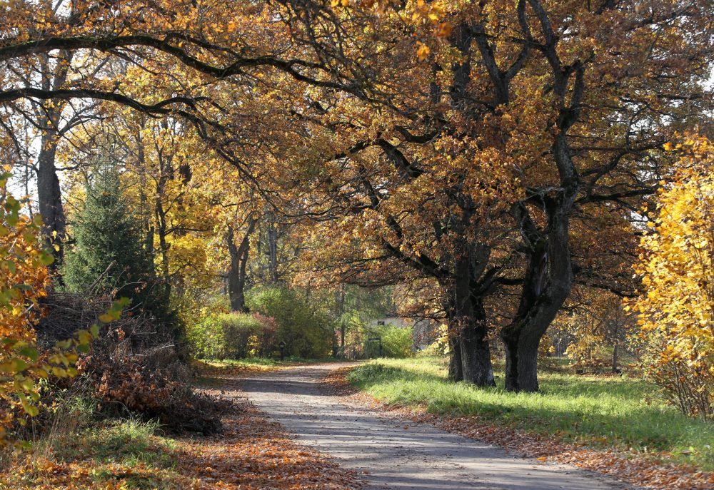 Astronomiskais rudens šogad sāksies 23.septembrī - Lat.press.lv